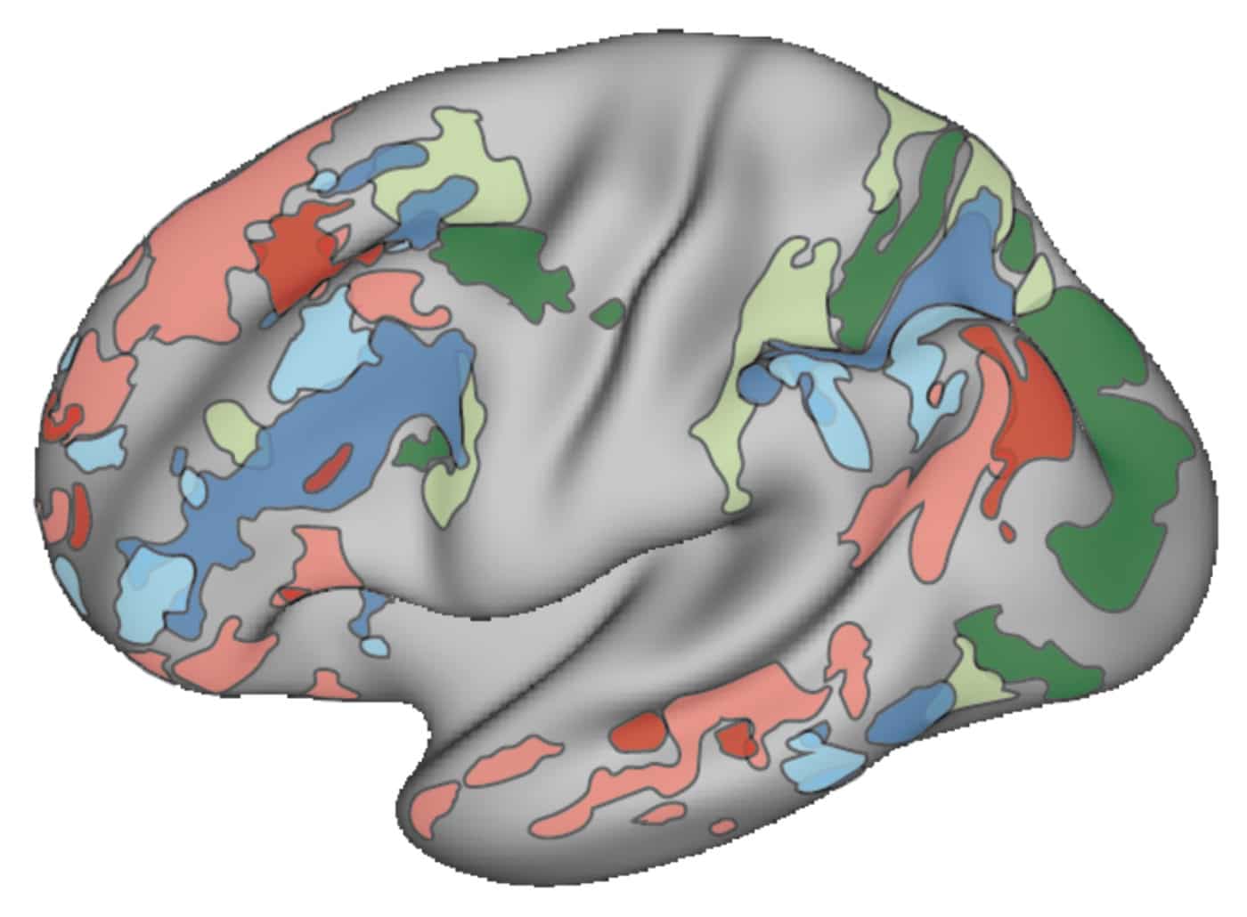 Foundation Grants and Awards | The Ryan Licht Sang Bipolar Foundation